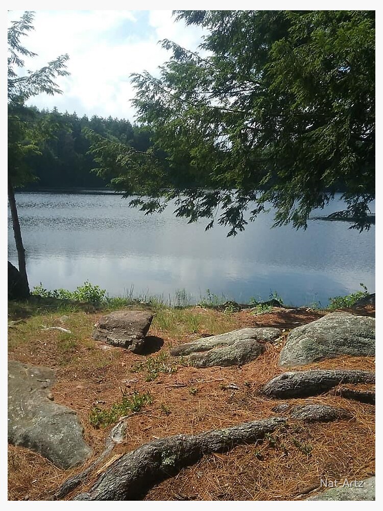 "Howells Pond Dam" Sticker for Sale by Nat-Artz | Redbubble