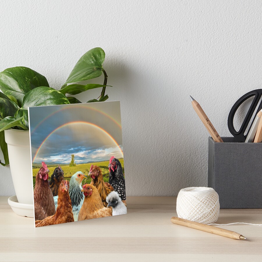 "Pretty Hens Collage. The Rainbow Chickens, love their feather patterns ...