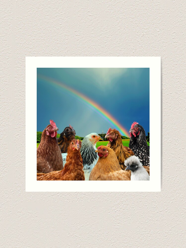 "Pretty Hens Collage. The Rainbow Chickens, love their feather patterns ...