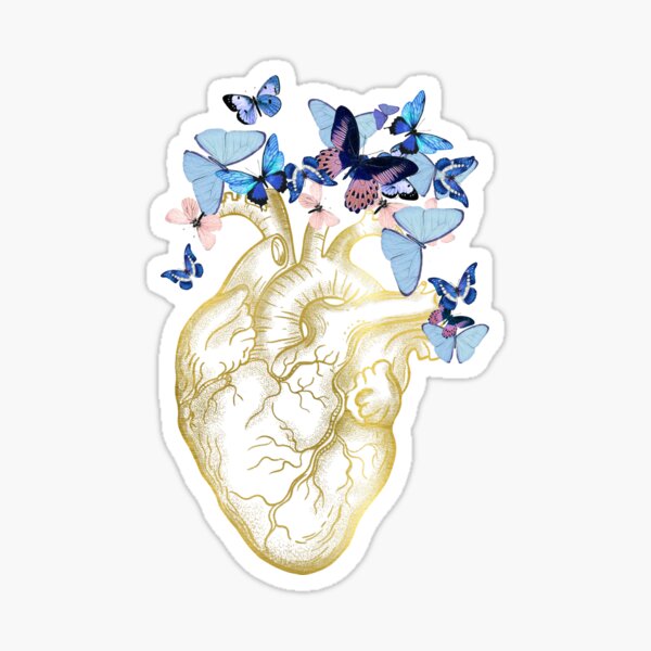 "human heart with blue butterflies, watercolor style, anatomy art ...