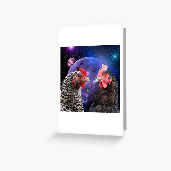 "Pretty hens in outer space. Beautiful Chickens, love their feather ...