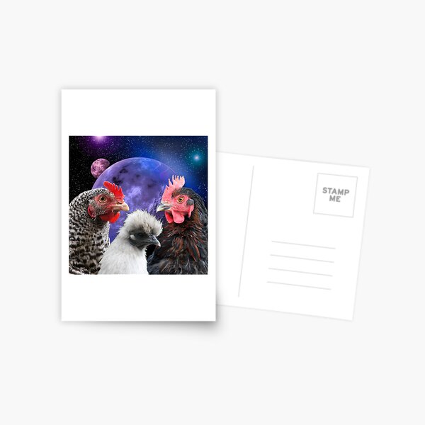 "Pretty hens in outer space. Beautiful Chickens, love their feather ...