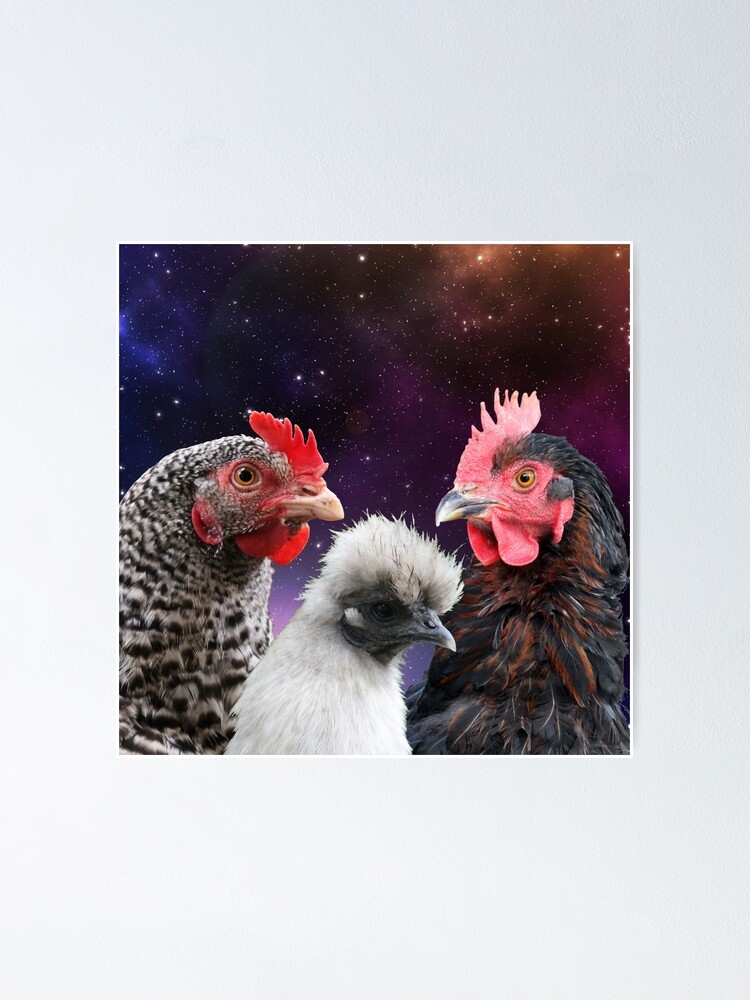 "Pretty hens in outer space. Beautiful Chickens, love their feather ...