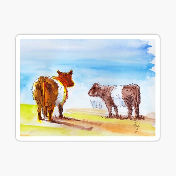 "Belted Galloway Oreo Cows painting orange brown" Sticker by MikeJory ...