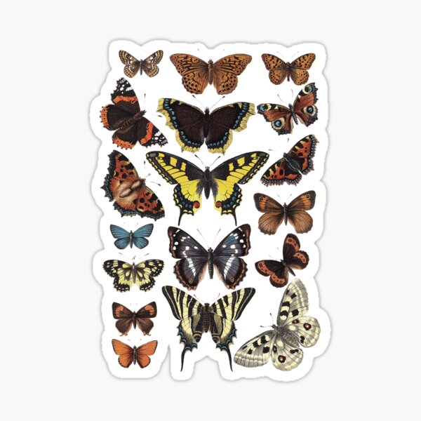"Butterflies chart with big yellow Butterfly" Sticker for Sale by ...