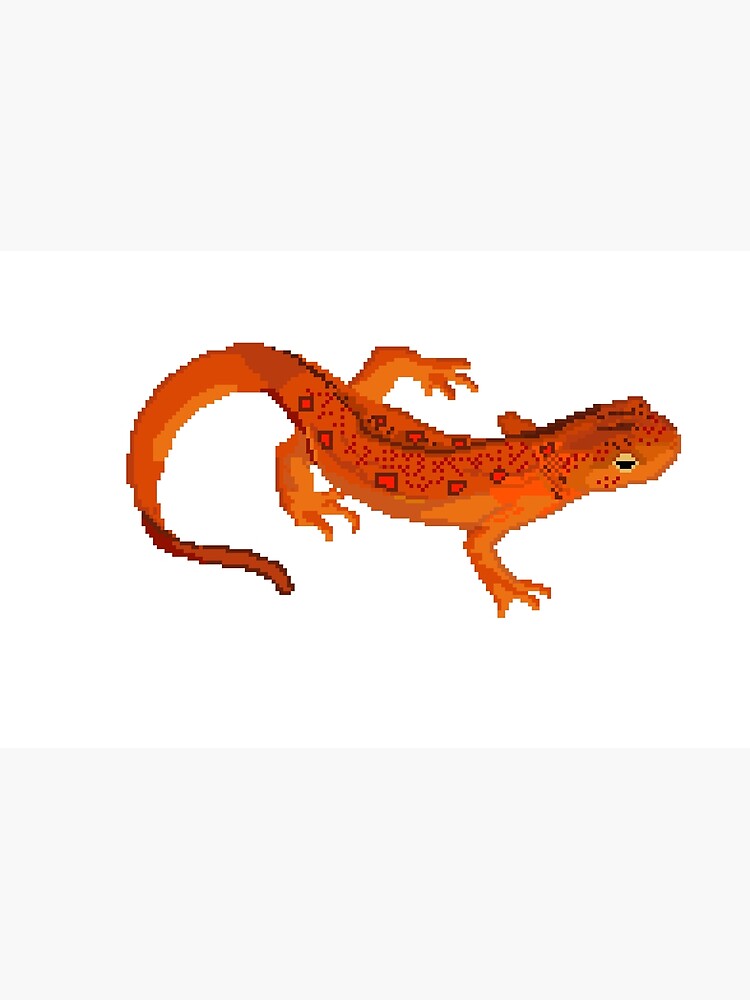 "Pixel Eastern Newt" Poster for Sale by otterfest | Redbubble