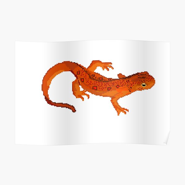 "Pixel Eastern Newt" Poster for Sale by otterfest | Redbubble