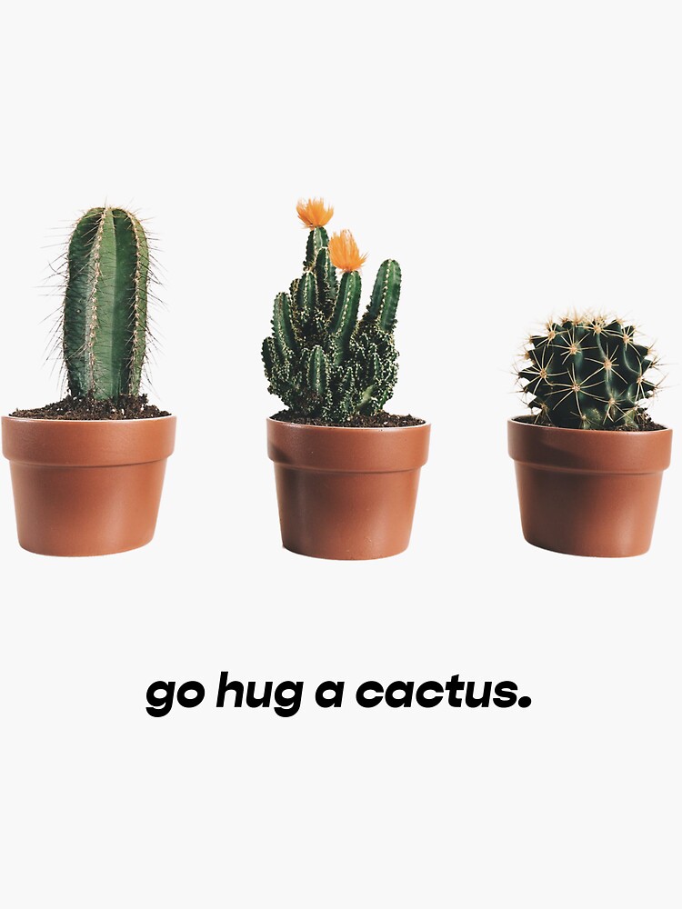 "go hug a cactus" Sticker by CranesEtFleurs | Redbubble