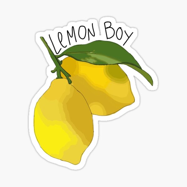 "LeMON BOy" Sticker by sunrisesat4am | Redbubble