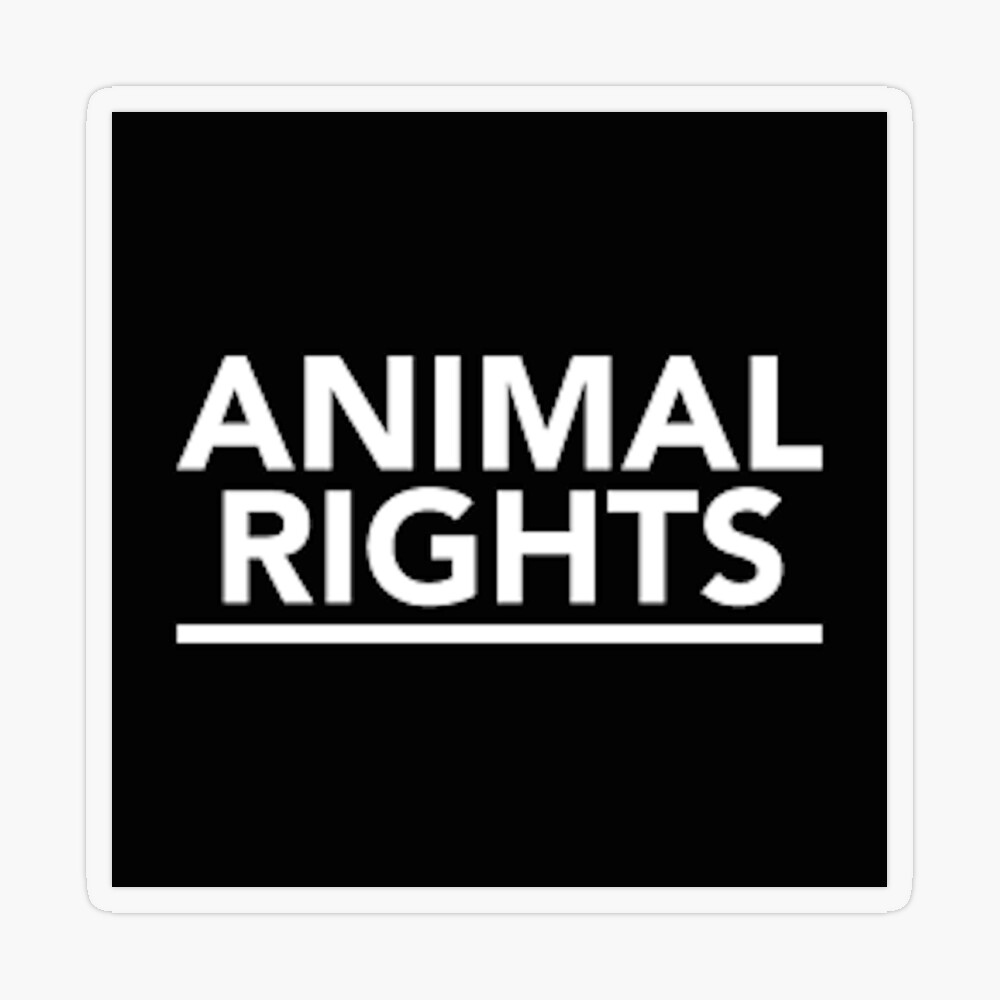 Animal Equality Logo Profile For Cornell Students For Animal Rights