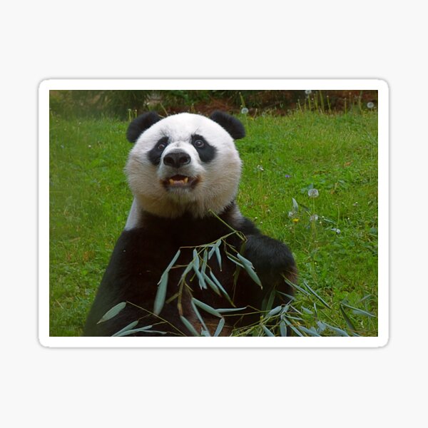 "Mei Mei" Sticker by andrew82984 | Redbubble