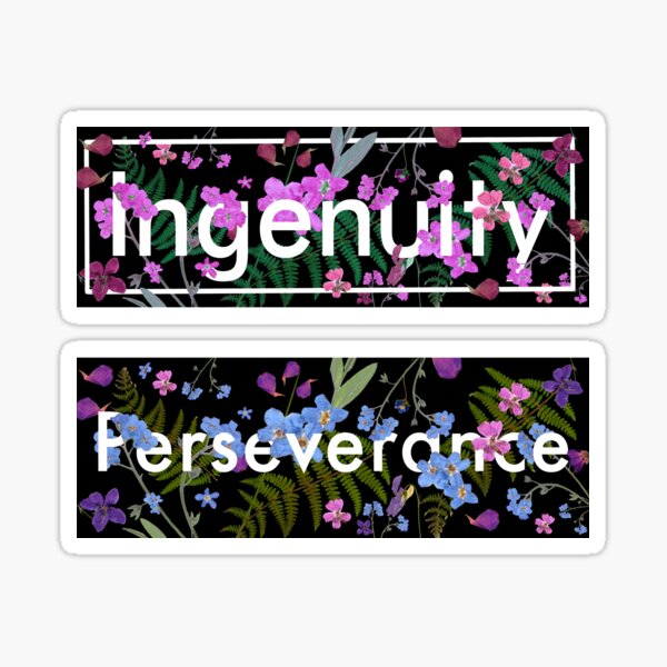 PopCTravel Shop | Redbubble