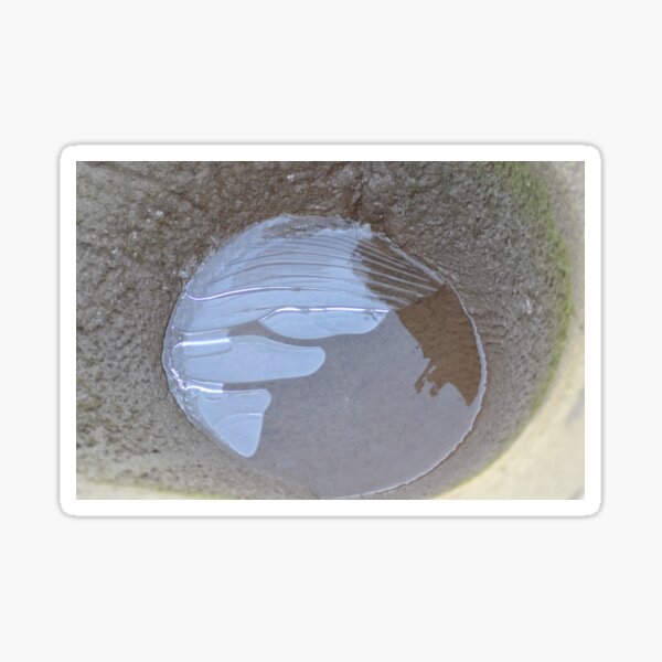 "frozen puddle" Sticker by moregoodart | Redbubble