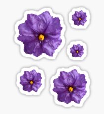 Wildflower: Stickers | Redbubble