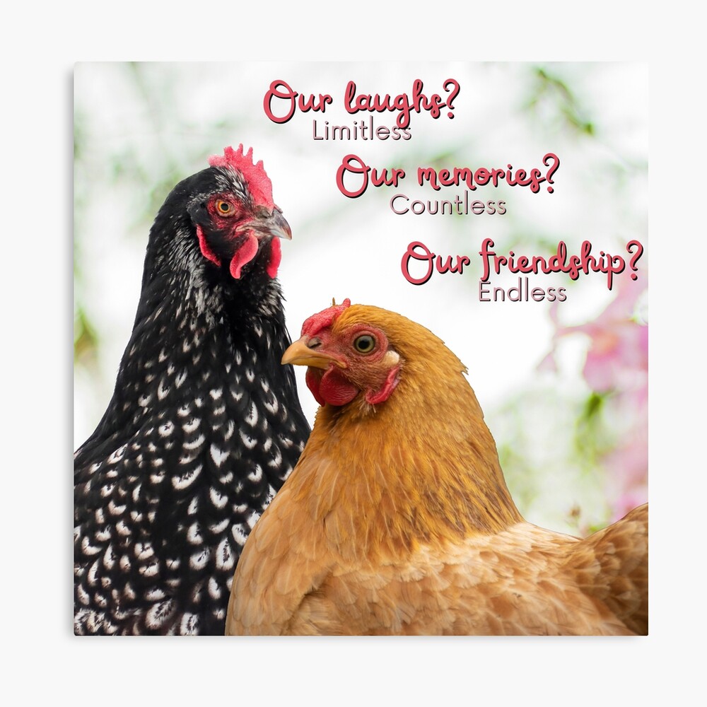 Happy Chicken Quotes