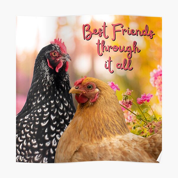 "Best Friends, two pretty hens in their magical garden. Besties Forever ...