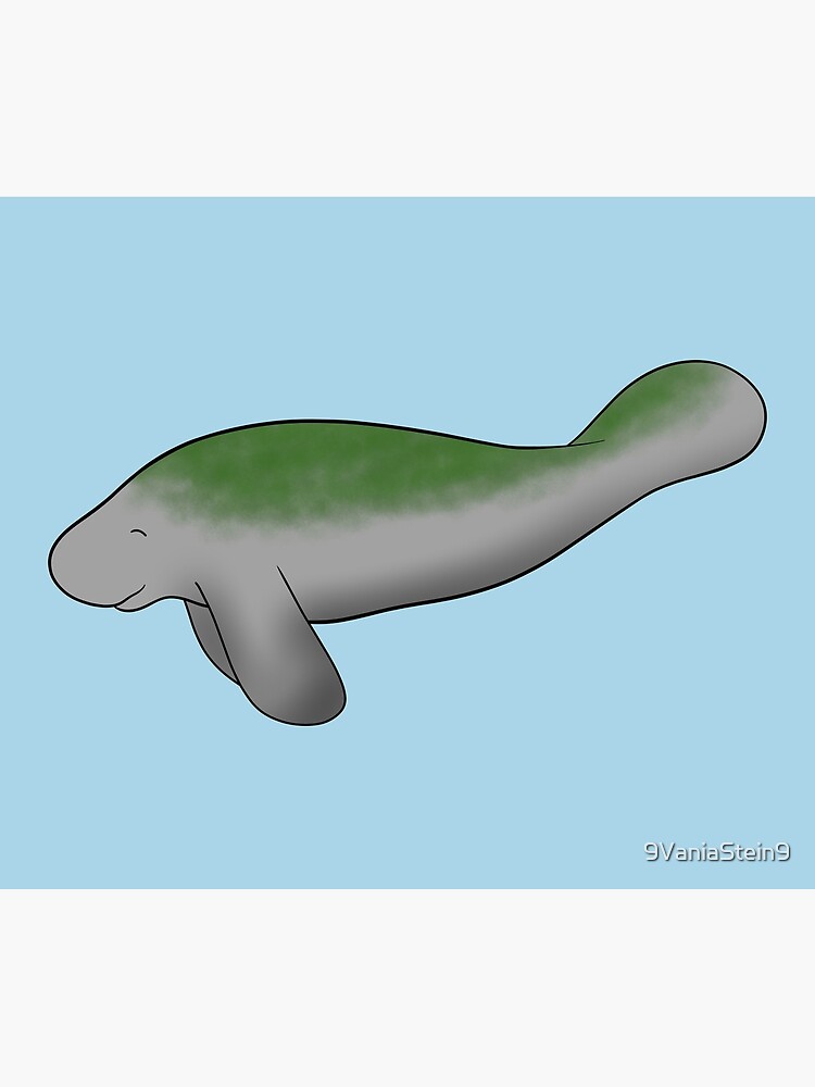 "Cute Slightly Smiling Manatee With Algae On Its Back" Poster for Sale ...