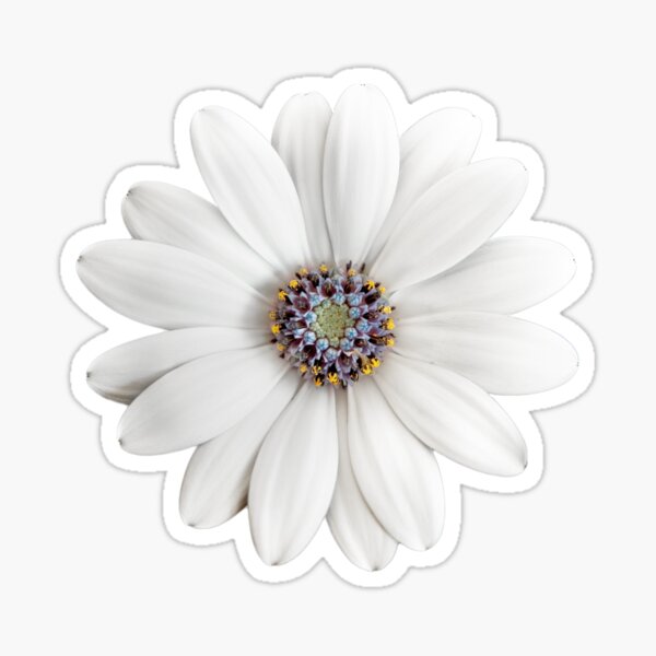 "White flower sticker" Sticker for Sale by Mhea | Redbubble