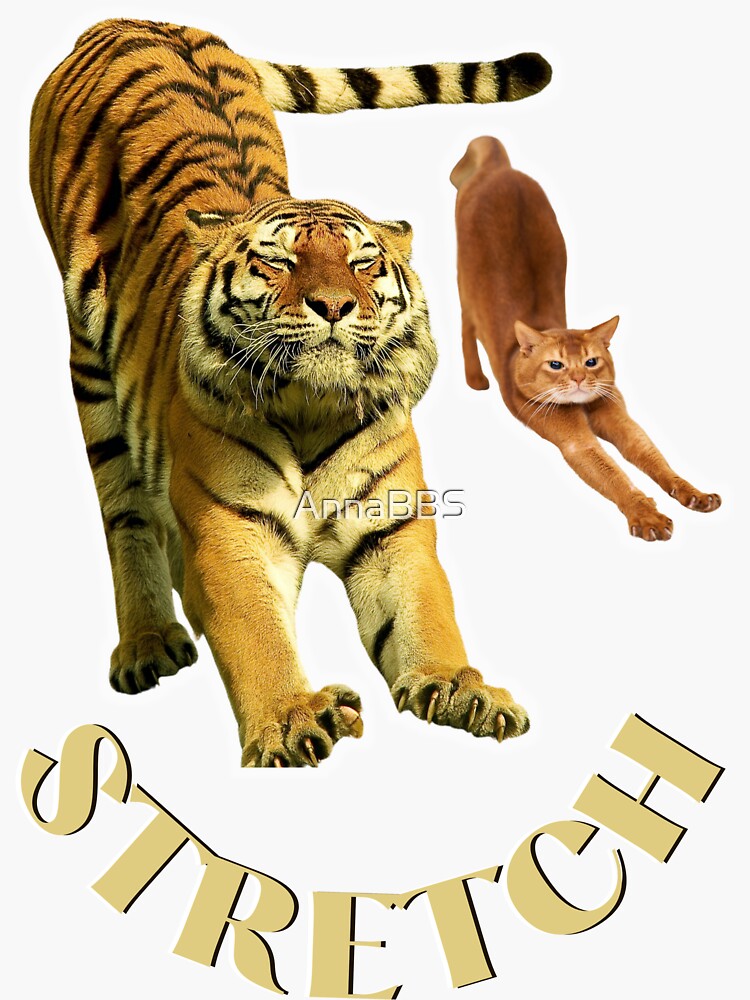"Stretching exercise by a large tiger and a small cat - with gold text ...