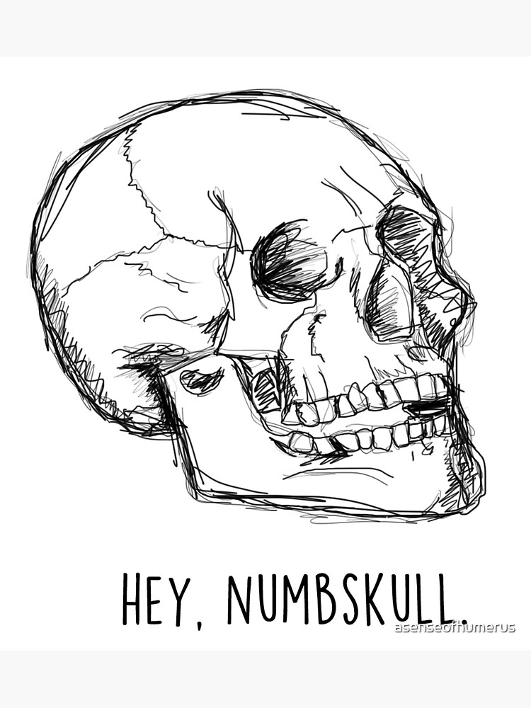 "Hey, Numbskull" Sticker by asenseofhumerus | Redbubble