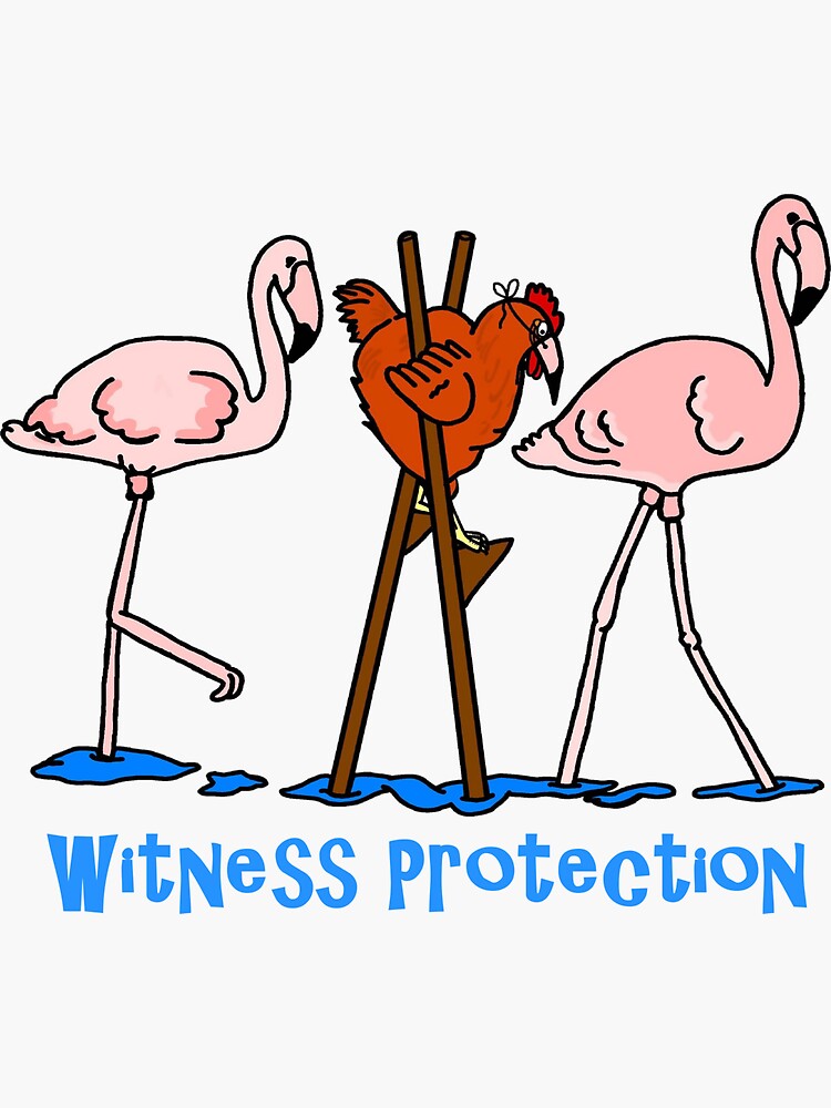 "Witness Protection Chicken and Flamingos" Sticker by imphavok | Redbubble
