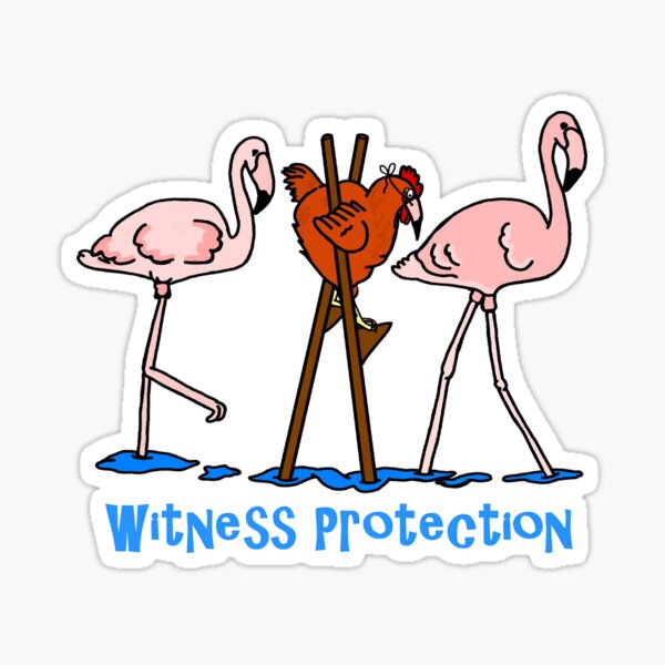 "Witness Protection Chicken and Flamingos" Sticker by imphavok | Redbubble