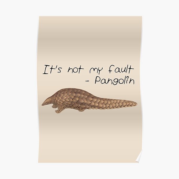 Pangolin Posters | Redbubble