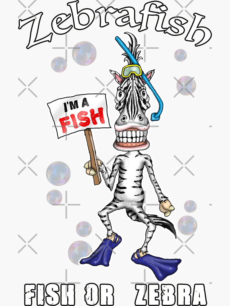 "Zebrafish" Sticker by Status71 | Redbubble