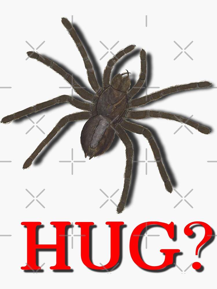 "Spider Hug" Sticker by sandpiperstudio | Redbubble