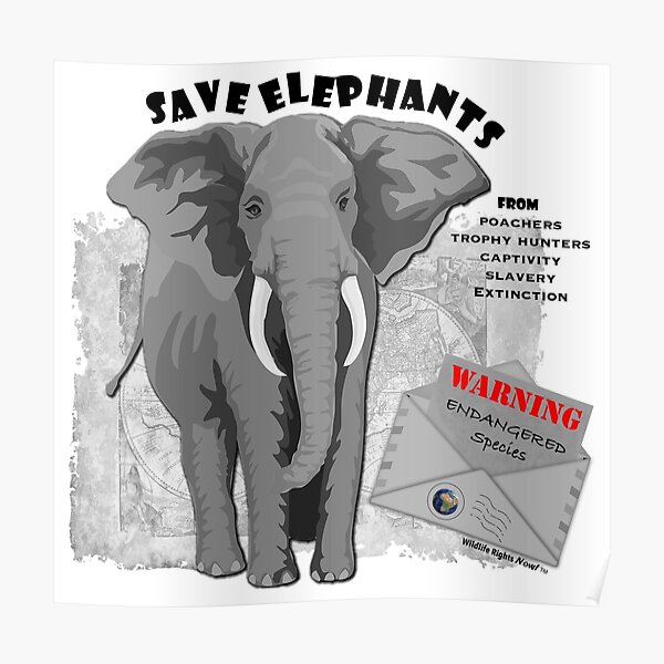 "Save Elephants from Extinction" Poster by WildlifeRights | Redbubble