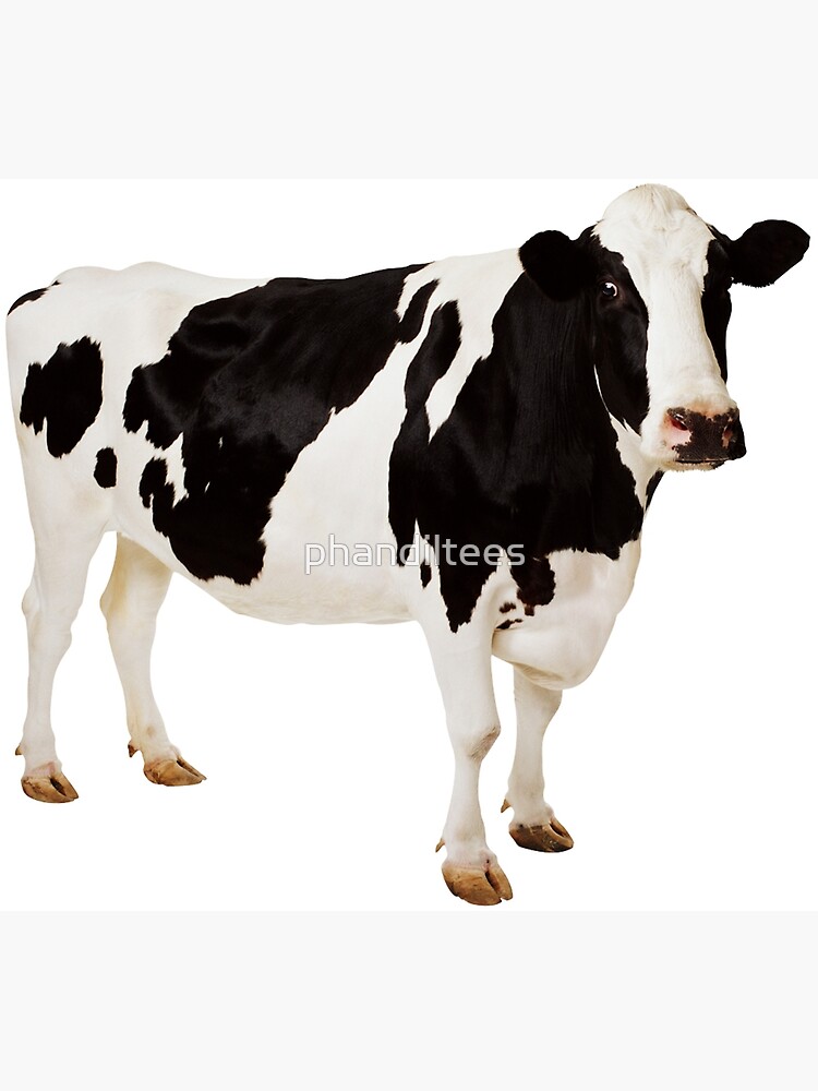 Cow Premium Matte Vertical Poster sold by Nat | SKU 42211498 | 40% OFF ...