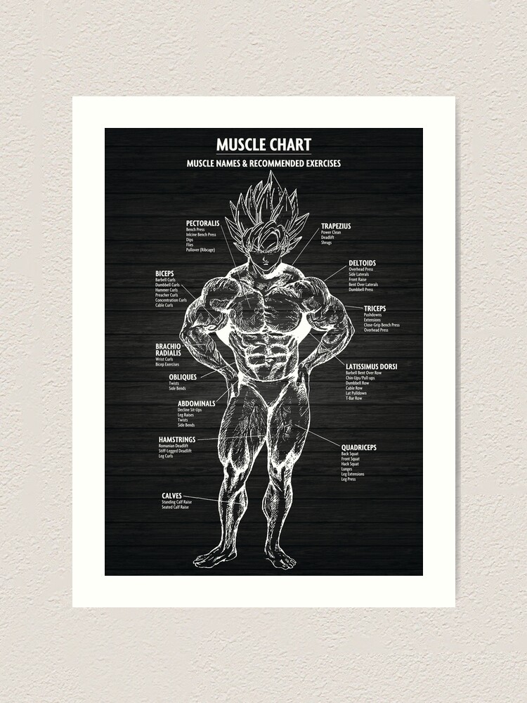 "Muscle Chart - Anatomy Diagram - Anime Gym Motivational" Art Print for ...