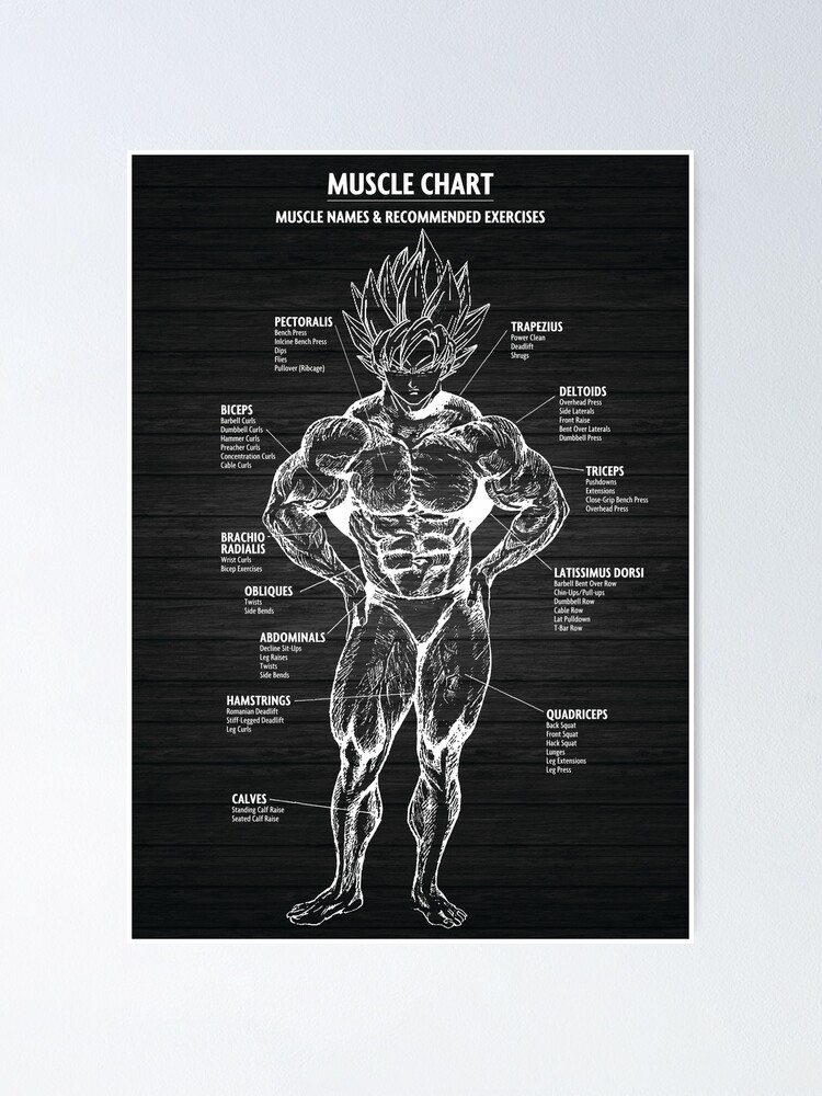 "Muscle Chart - Anatomy Diagram - Anime Gym Motivational" Poster for ...