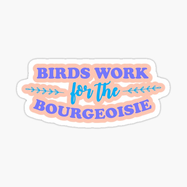 "Birds work for the bourgeoisie meme" Sticker by YassineKaissi | Redbubble
