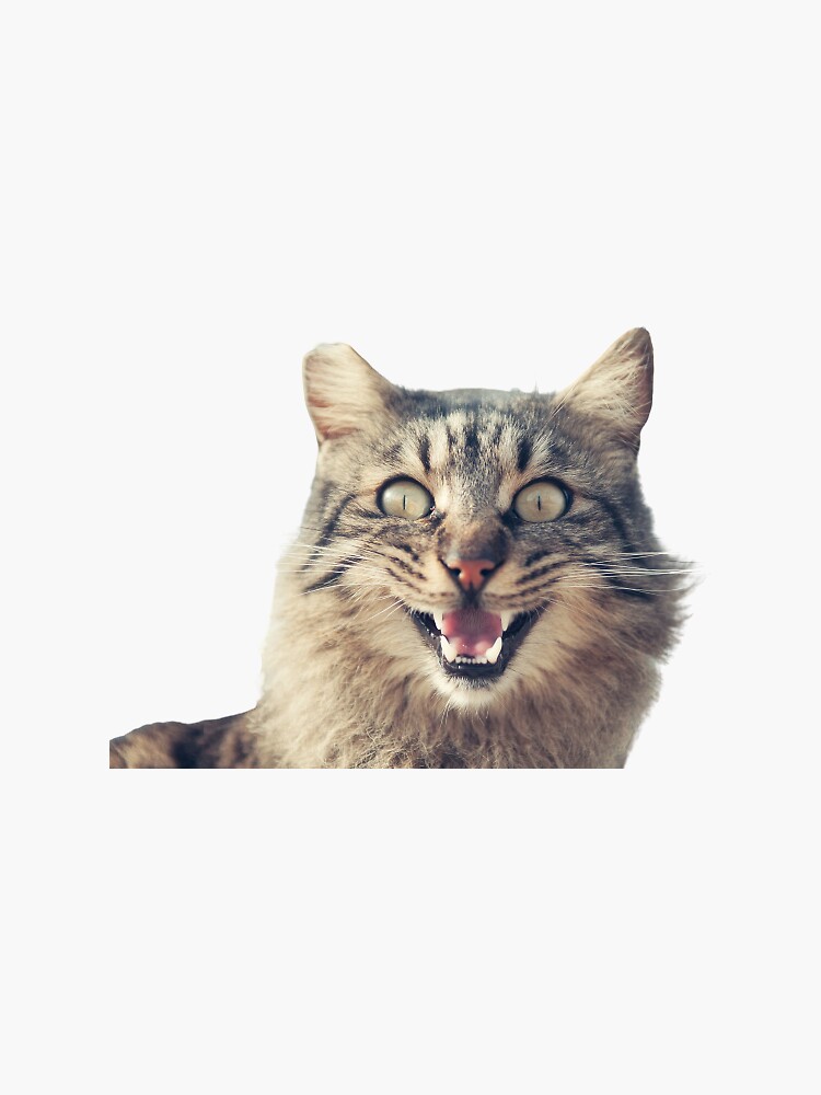"Smiling Cat Sticker" Sticker for Sale by LankyStickerBoi | Redbubble