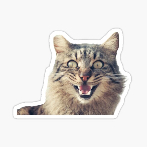 "Smiling Cat Sticker" Sticker for Sale by LankyStickerBoi | Redbubble