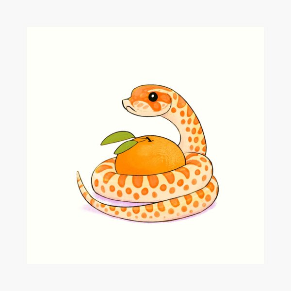"Orange Creamsicle Hognose Snake" Art Print by Kylah0h | Redbubble