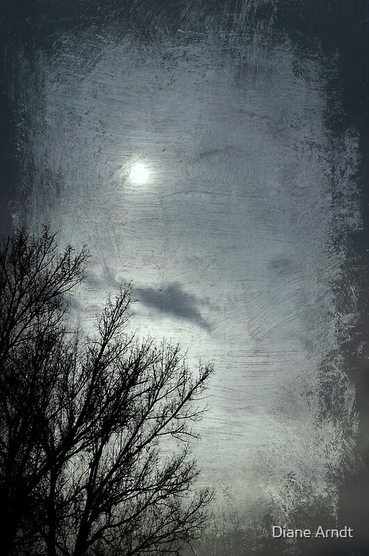 "Crispy Cold Day. Caldwell, Idaho" by Diane Arndt | Redbubble