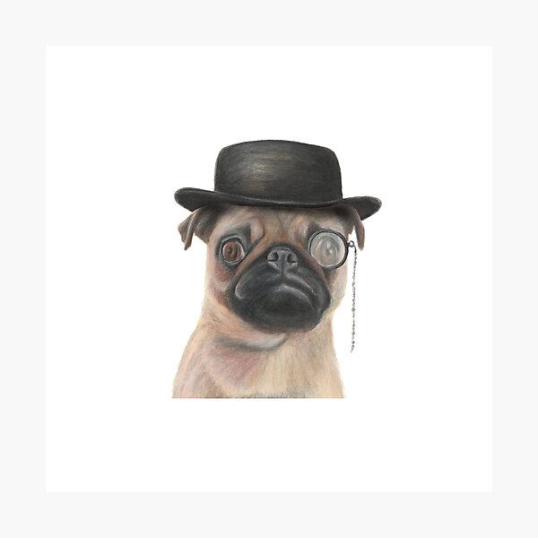 "Funny pug dog wearing a monocle and bowler hat. Pug dog drawing ...