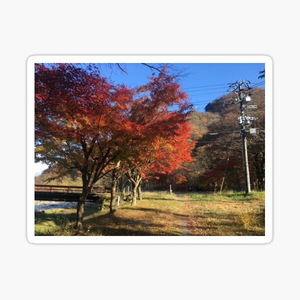 "Bypass road in Nikko during Momiji, Japan" Sticker for Sale by Sunagu ...