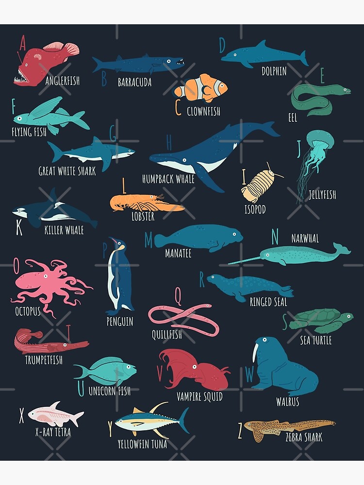 "Cute Marine And Ocean Animals Alphabet For Marine Biology Gift" Framed ...