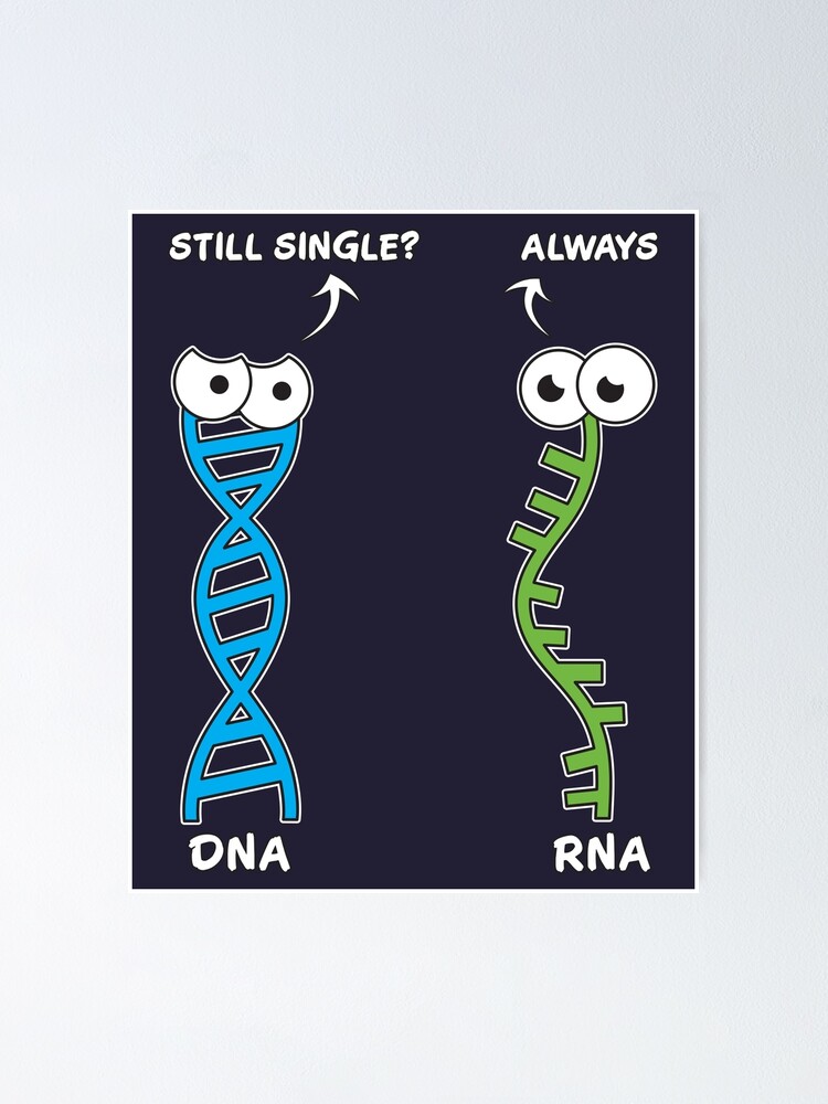 "DNA-RNA Funny Biology Cute Gifts" Poster for Sale by SciArtPrintShop ...