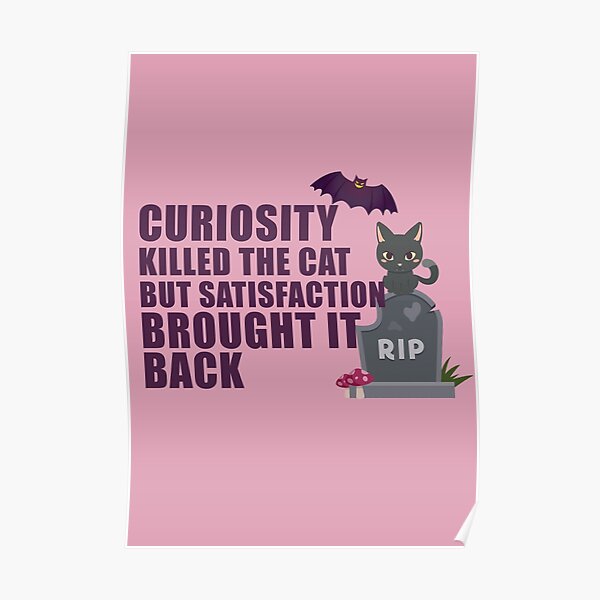 Curiosity Killed The Cat Posters | Redbubble