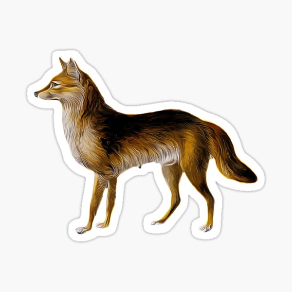 Dingo Cartoon Stickers | Redbubble