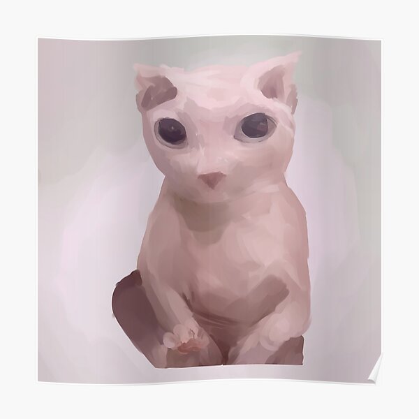 Póster «Dibujo digital de Bingus (con fondo)» de portraitsbylaur ...