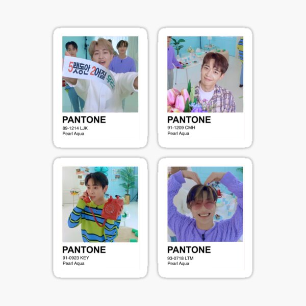 "Shinee pantone sticker set" Sticker by dwzzlingshinee | Redbubble