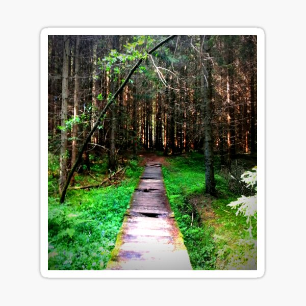 "Path to the Woods" Sticker by HugsAndSnacks | Redbubble