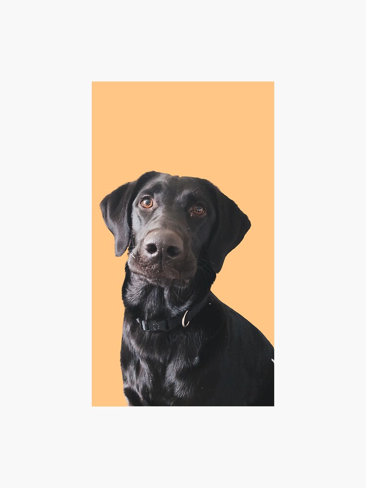 "Daphne" Sticker by Alexandrianne99 | Redbubble