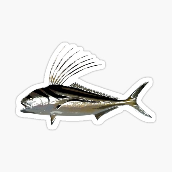 " Roosterfish White Alternate Design" Sticker for Sale by ...