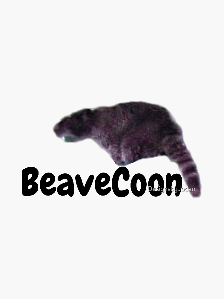 "iCarly Beavecoon" Sticker for Sale by DesignsbyJaden | Redbubble